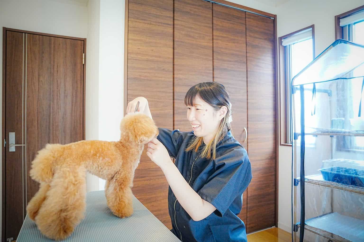 出張訪問トリミングpomme（ポム）/町田市・相模原市・多摩市一部 | 出張訪問エリア：町田市・相模原市・多摩市一部・動物病院トリミング ...